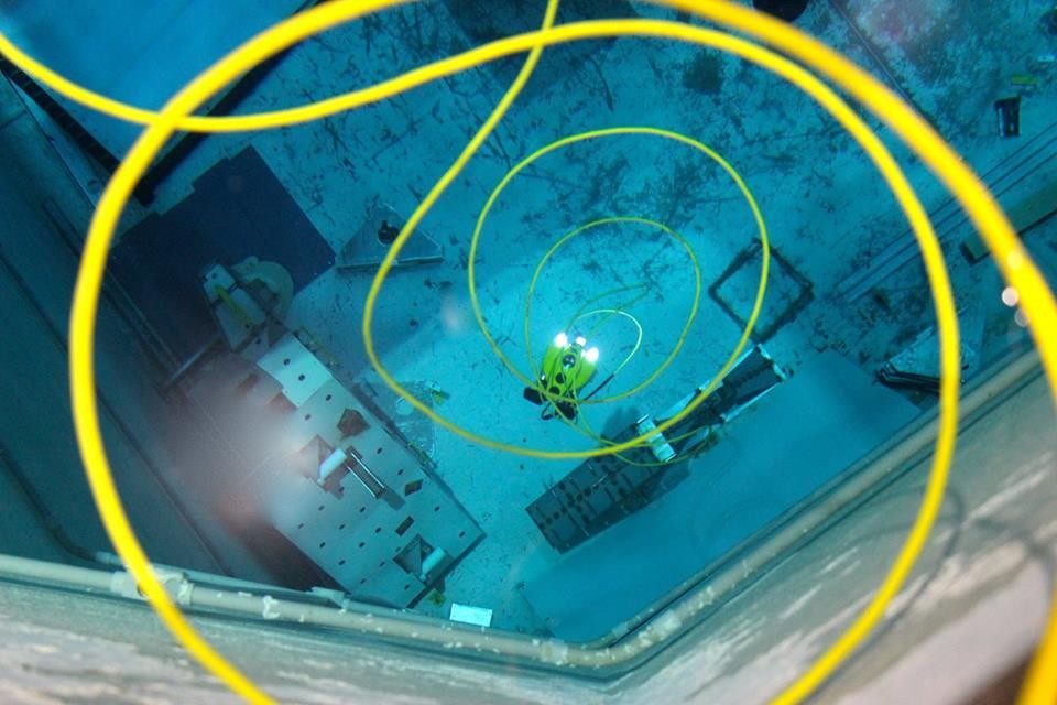 May 18, 2017 - The 2016 'Best of VideoRay' Photo Contest - VideoRay ...